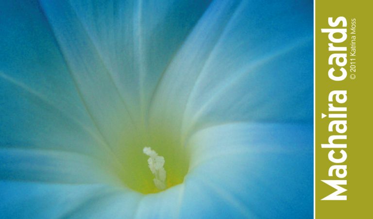 Getting to know the Creator – RUACH CARDS