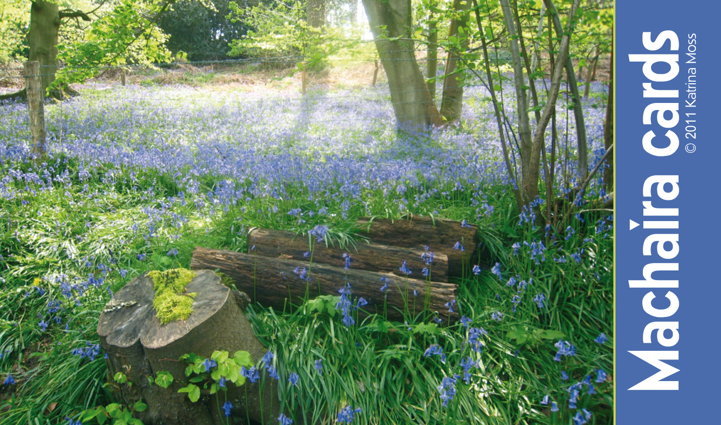 Knowing you are Loved – RUACH CARDS