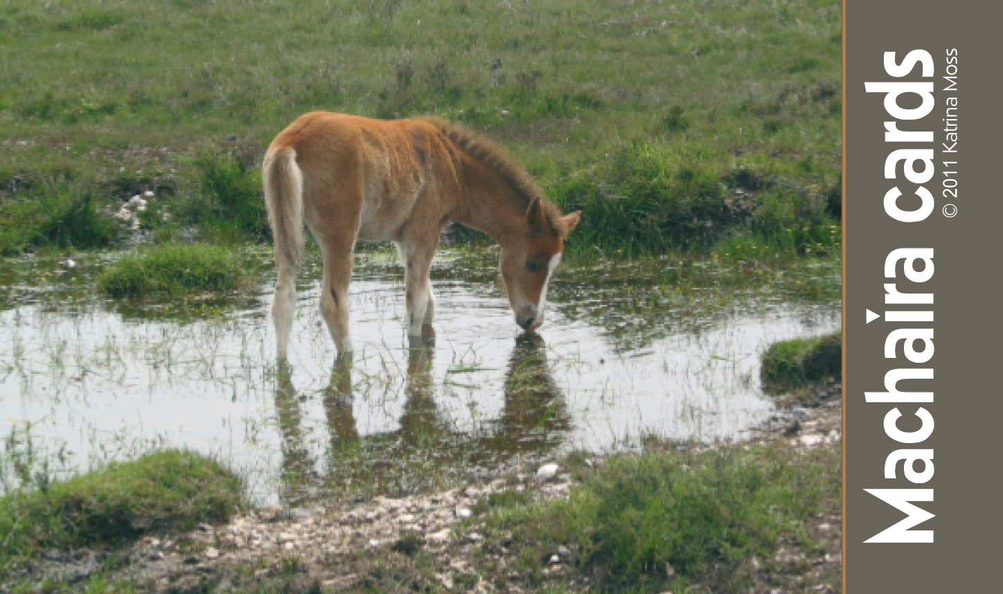 How to experience Joy – RUACH CARDS