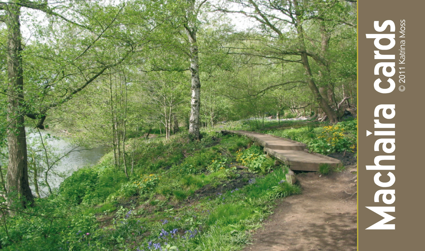 Finding your Direction – RUACH CARDS