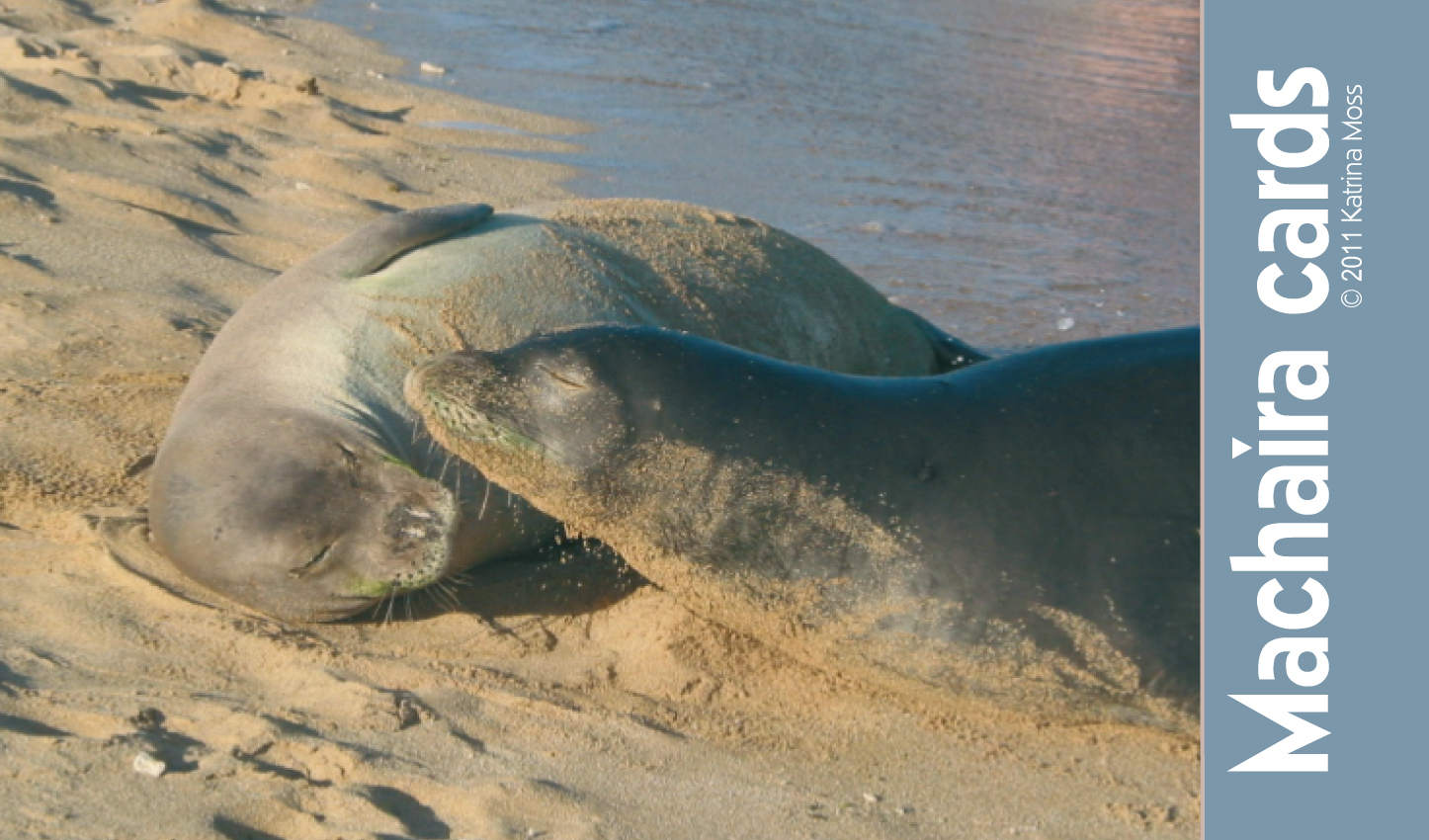 Knowing you are Loved – RUACH CARDS