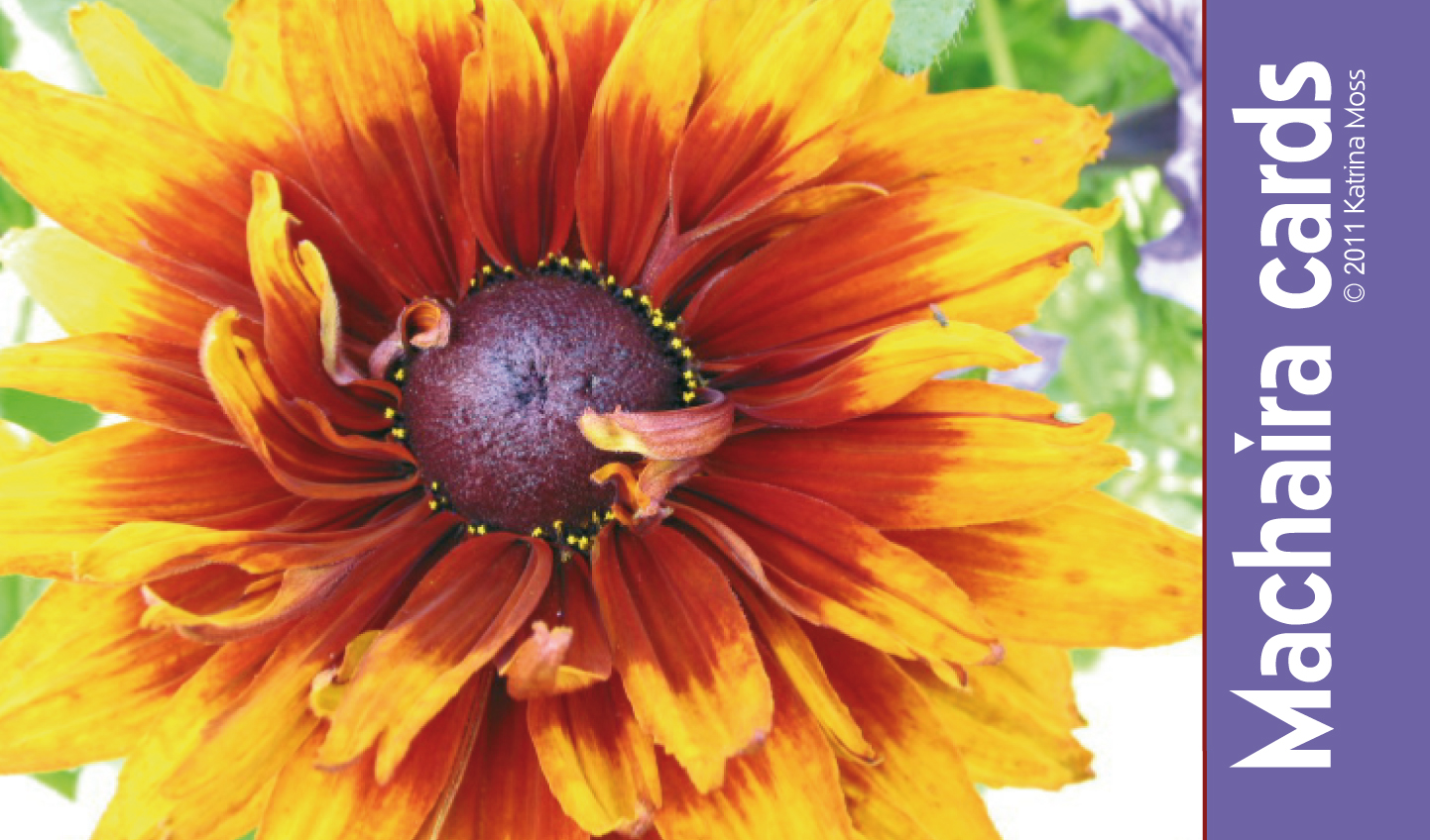 Knowing you are Loved – RUACH CARDS