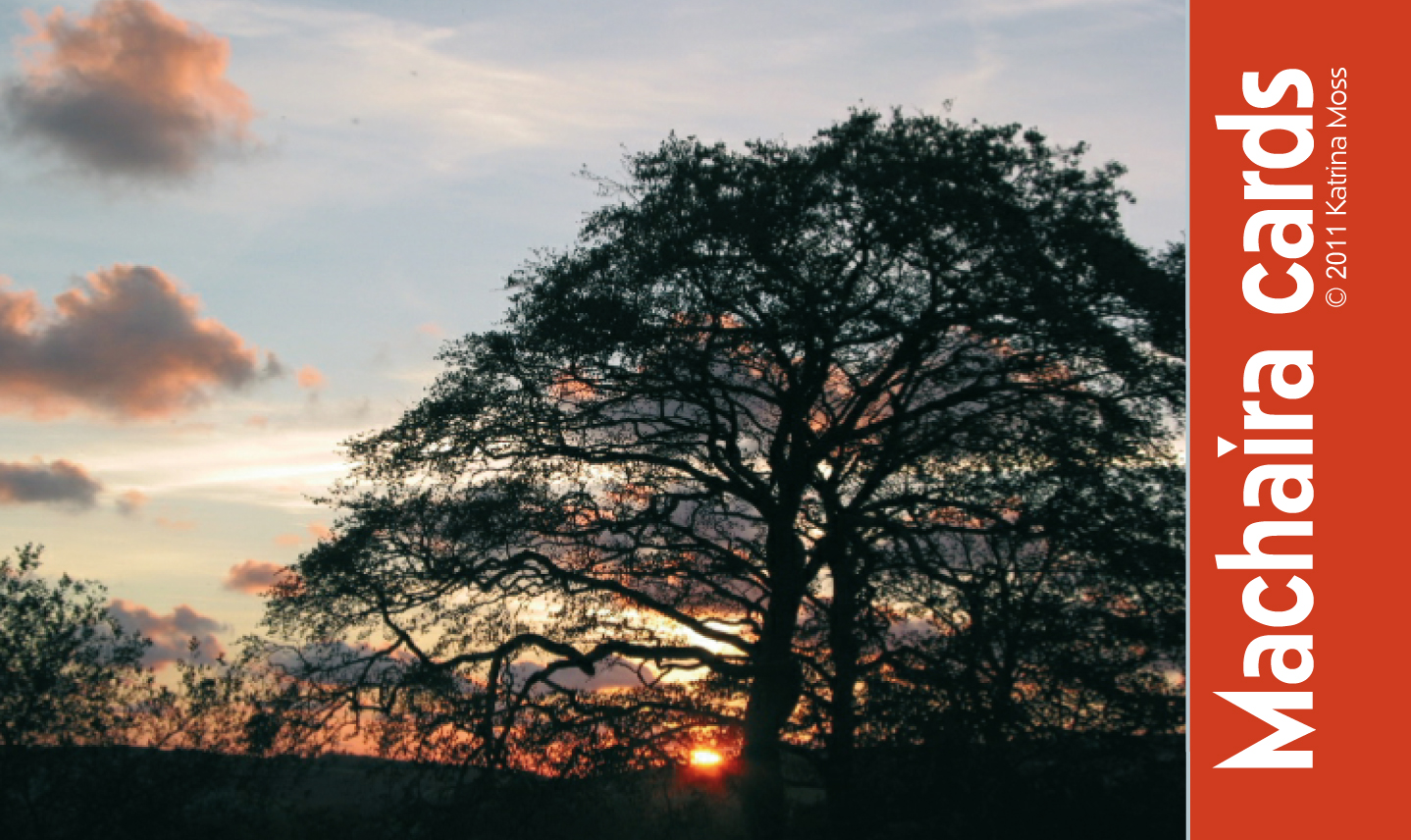 How to experience Joy – RUACH CARDS