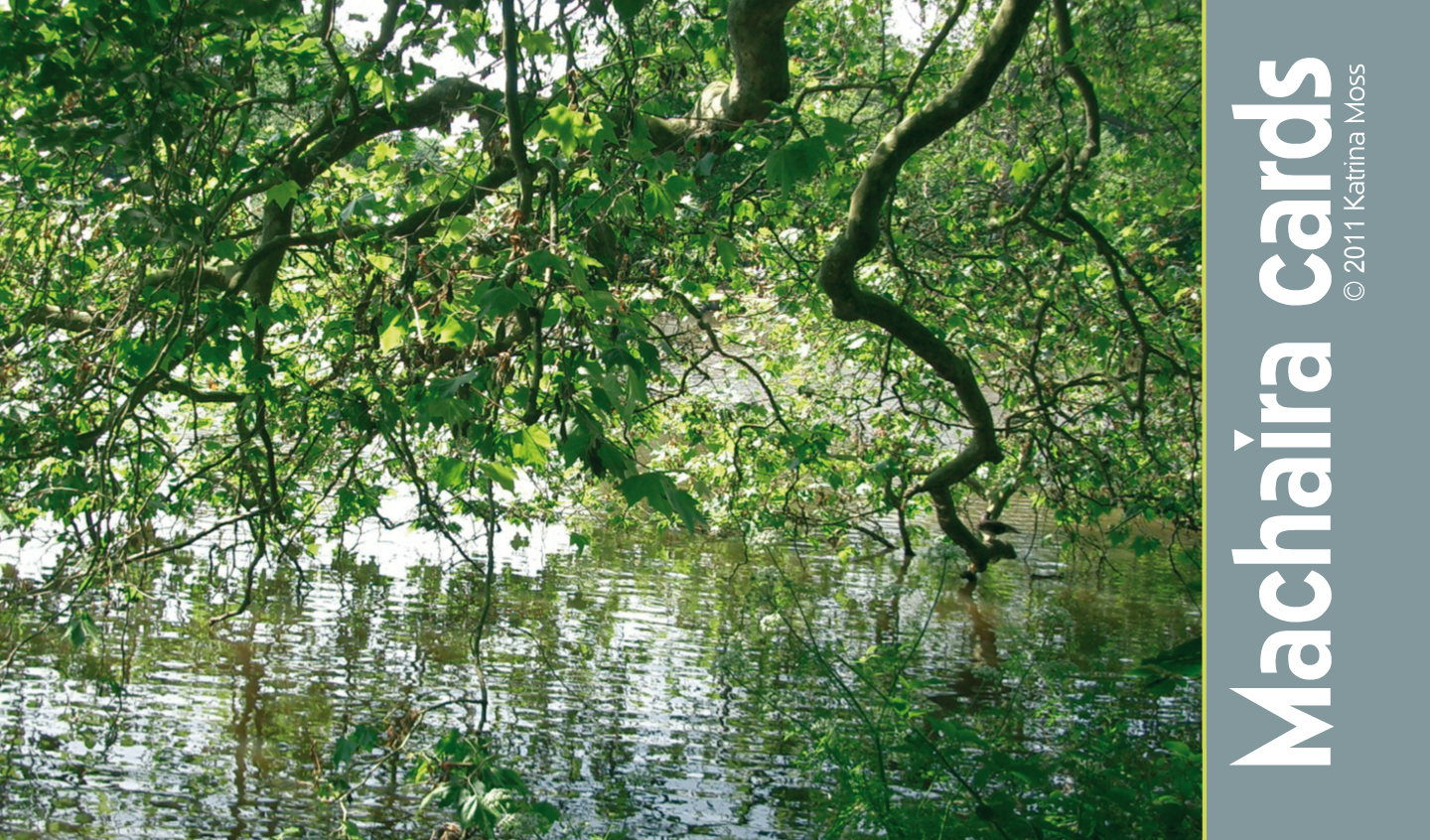 How to experience Joy – RUACH CARDS