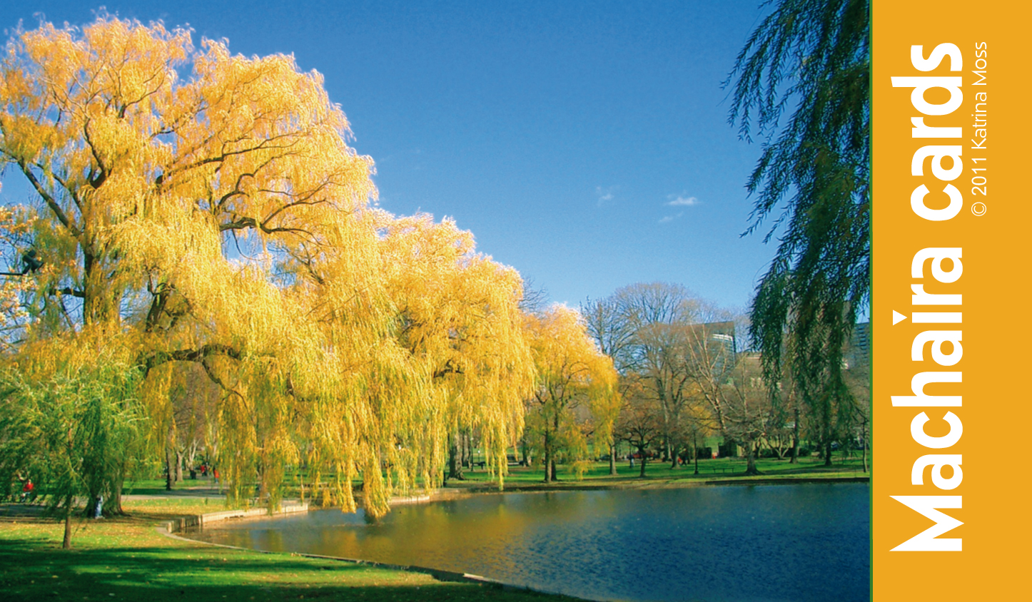 Changing your Perspective – RUACH CARDS